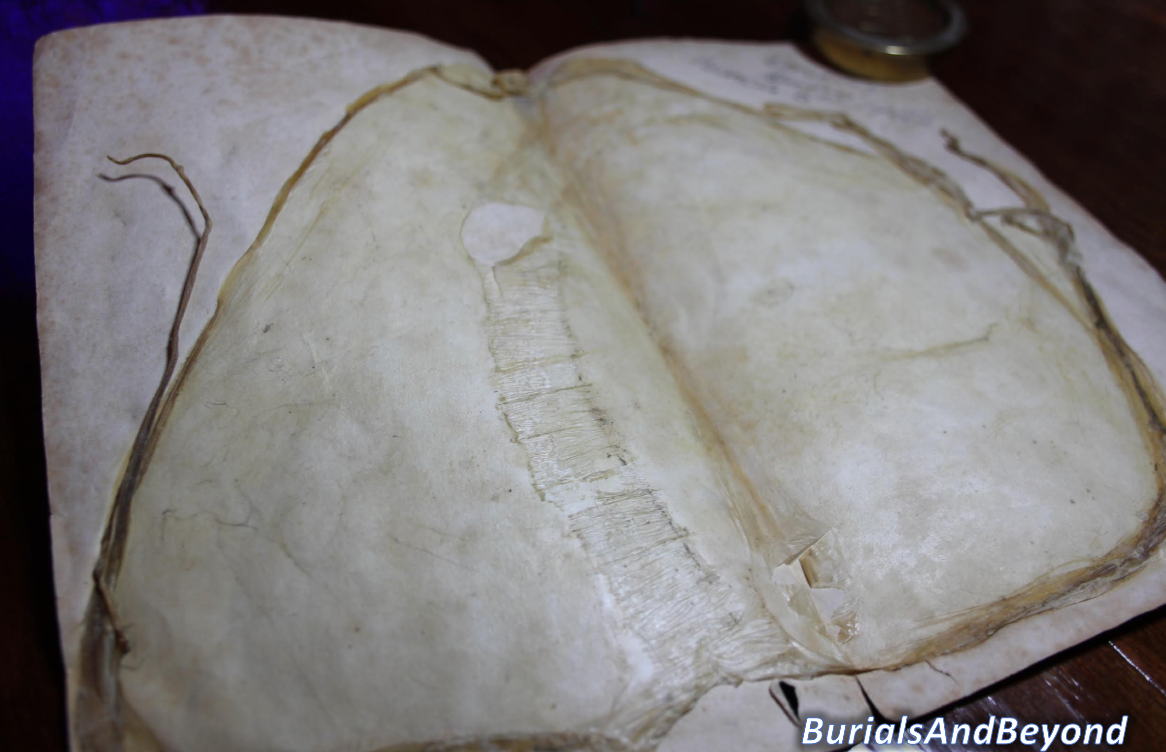 Baby Born In The Caul