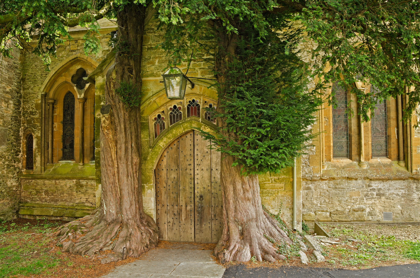 The Yew: Tree of the Dead – Burials & Beyond