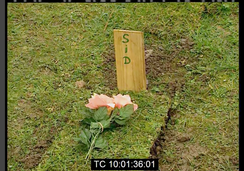 A Very 90s Death: The Tamagotchi Cemetery – Burials & Beyond